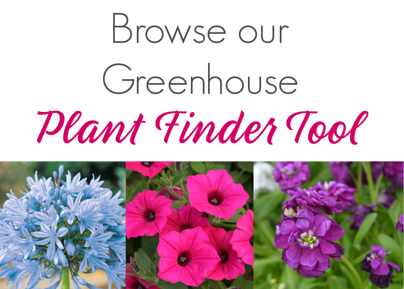 Ellis Home and Garden – Ellis Home & Garden