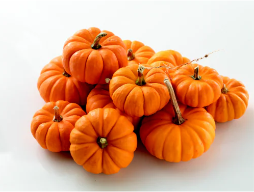 Mini Orange Pumpkins – Ellis Home & Garden